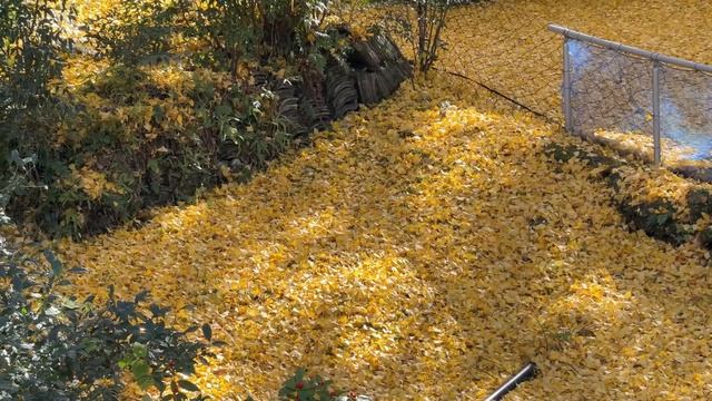 Скрытая Япония. Исследуем пейзажи Вакаямы, похожие на Гибли, города Онсэн и местную кухню