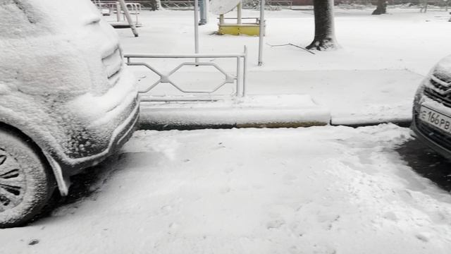 Апрельский снегопад в Подмосковье. Снег, бодрое утро и поваленные деревья у подъезда.