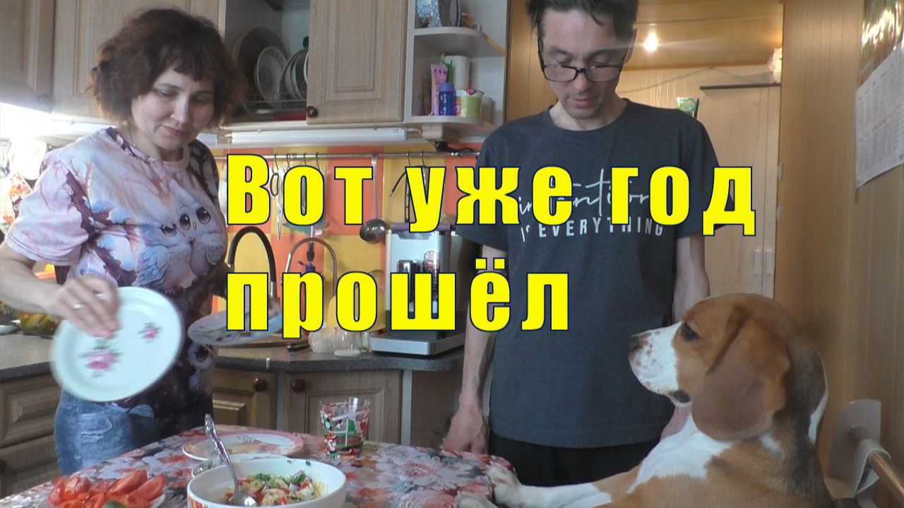 ЭТО НЕ ЛЕЧИТСЯ/ ГОД ПО САШИНОЙ МАМОЧКЕ /24 апреля 2026