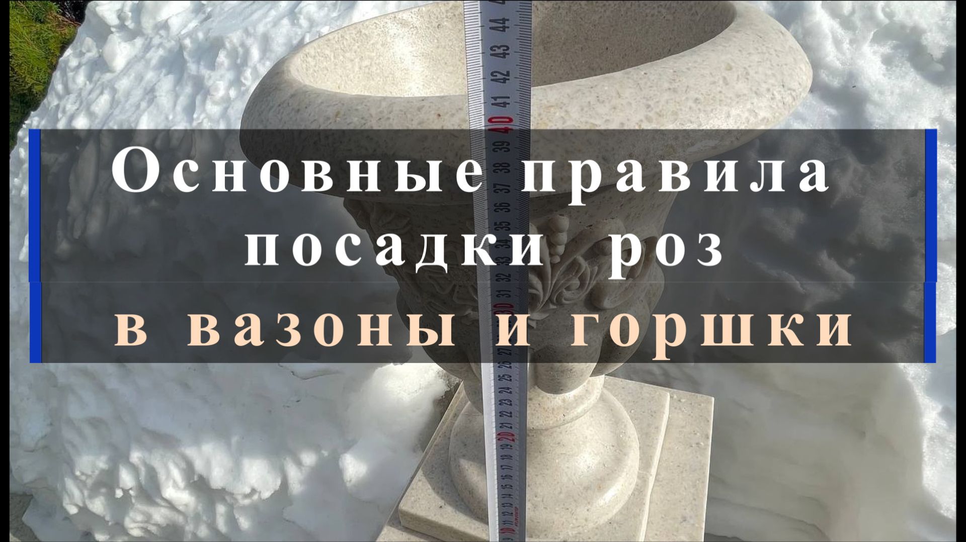 Основные правила посадки  роз в вазоны и горшки.