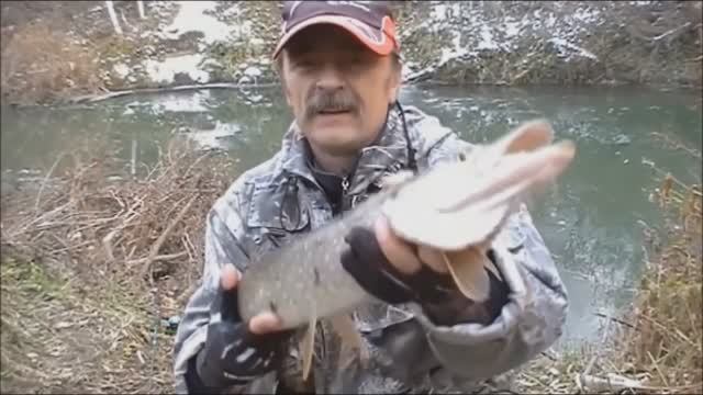 Ловля щуки на раков