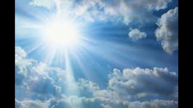 Птицы - Лена Швец - Автор исполнитель