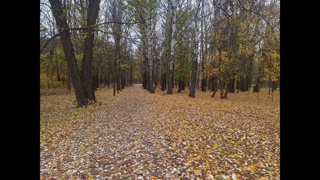 ЖЗЛ (Жизнь замечательных людей)