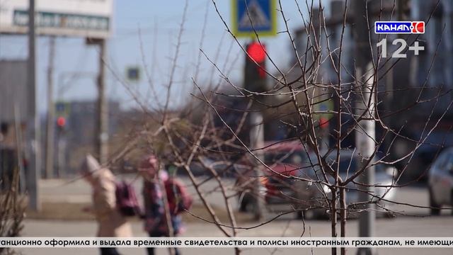Перед судом предстанет бывший начальник отделения страховой компании