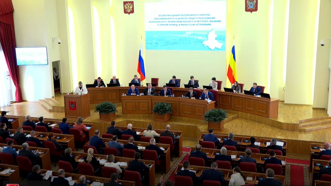 Заседание Правительства Ростовской области 29.04.2026