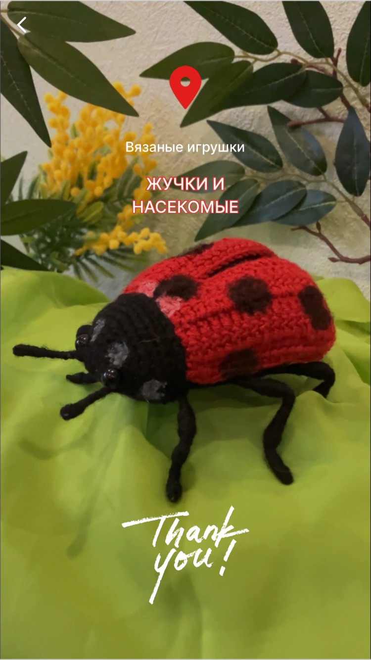 Вязаные насекомые