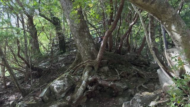 Япония. 2 дня в сельской местности Японии - Деревенская жизнь, лесные тропы и 280-летний дом