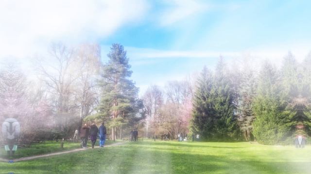 Весенняя прогулка Ботанический и Японский сад (г.Москва апрель 2026 года)