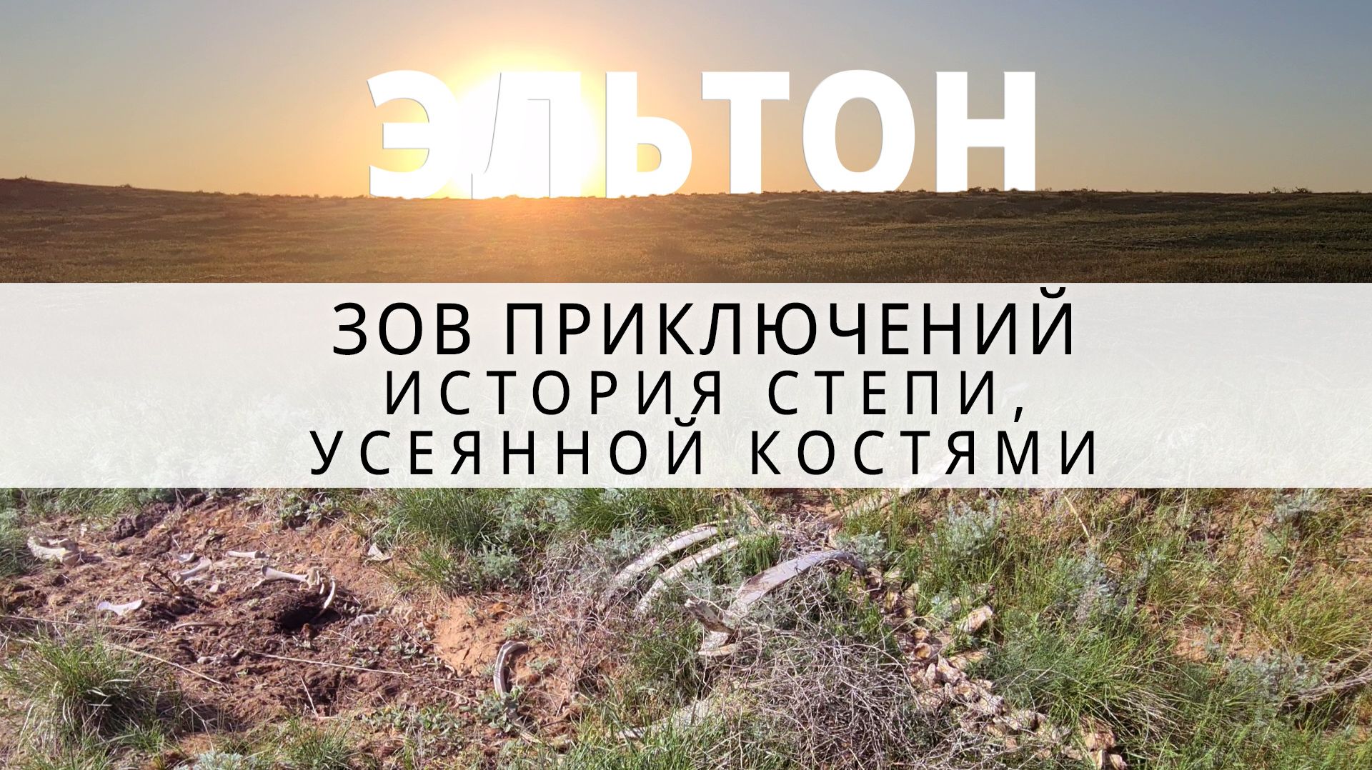 Жестокая история Эльтона | от Петра I до наших дней | зов Приключений #зп