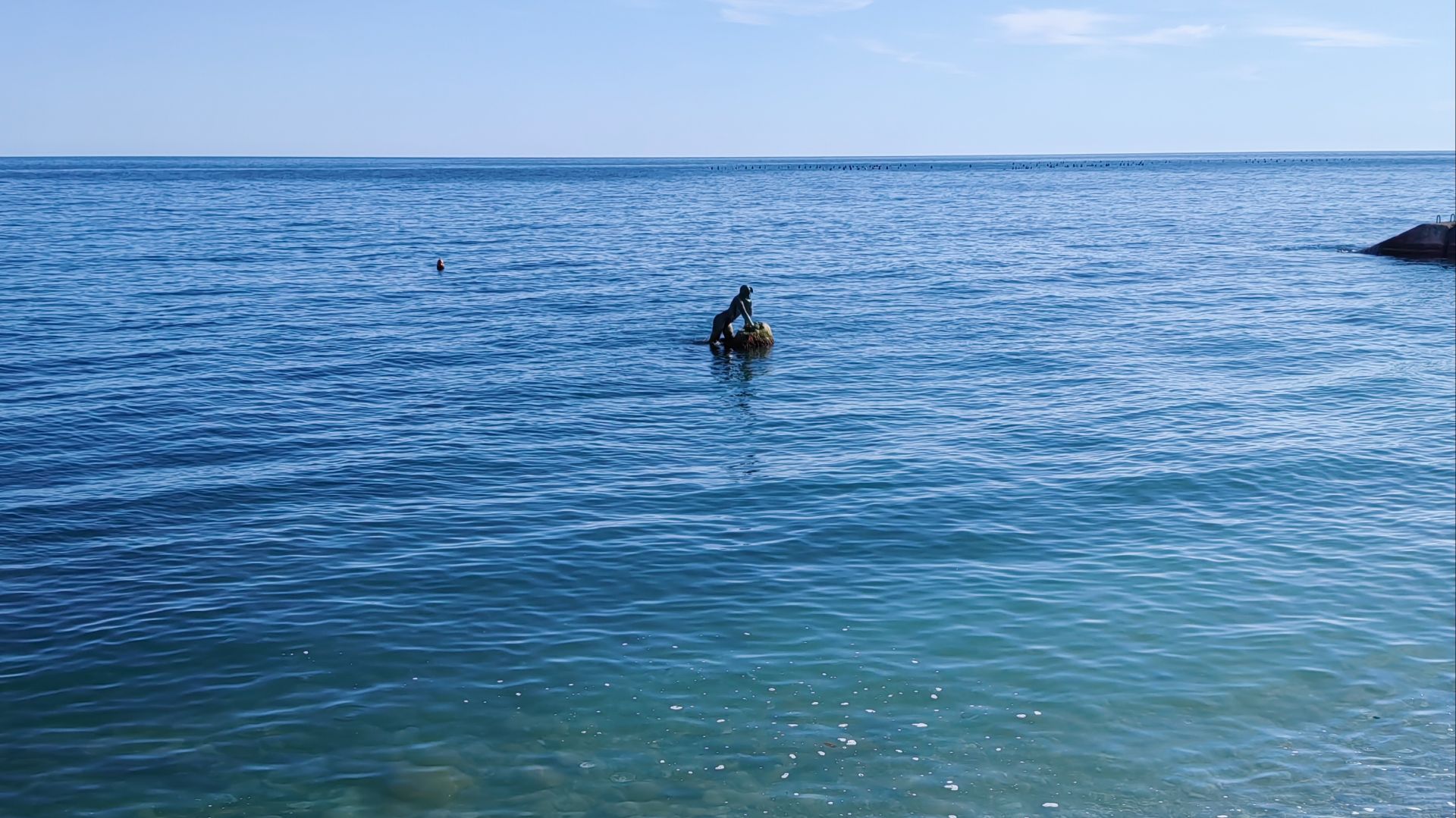 28 апреля 2026 г. Мисхорский парк #ялта #ялта2026 #мисхор #мисхорскийпарк