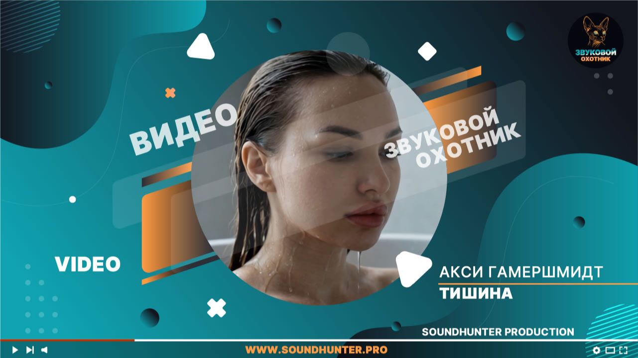 Акси Гамершмидт - Тишина