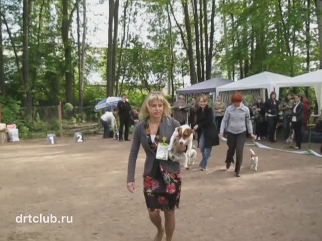 Первая выставка Джека. Лучший кобель, лучший представитель породы