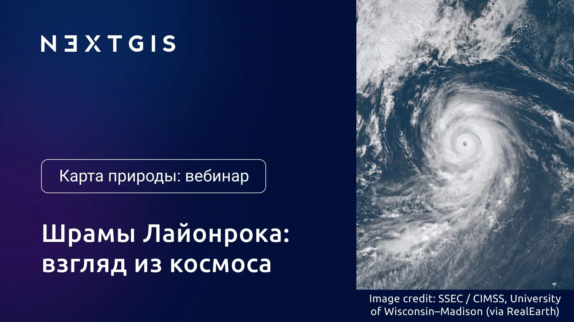 Карта природы #12. Шрамы Лайонрока: взгляд на лесную катастрофу из космоса