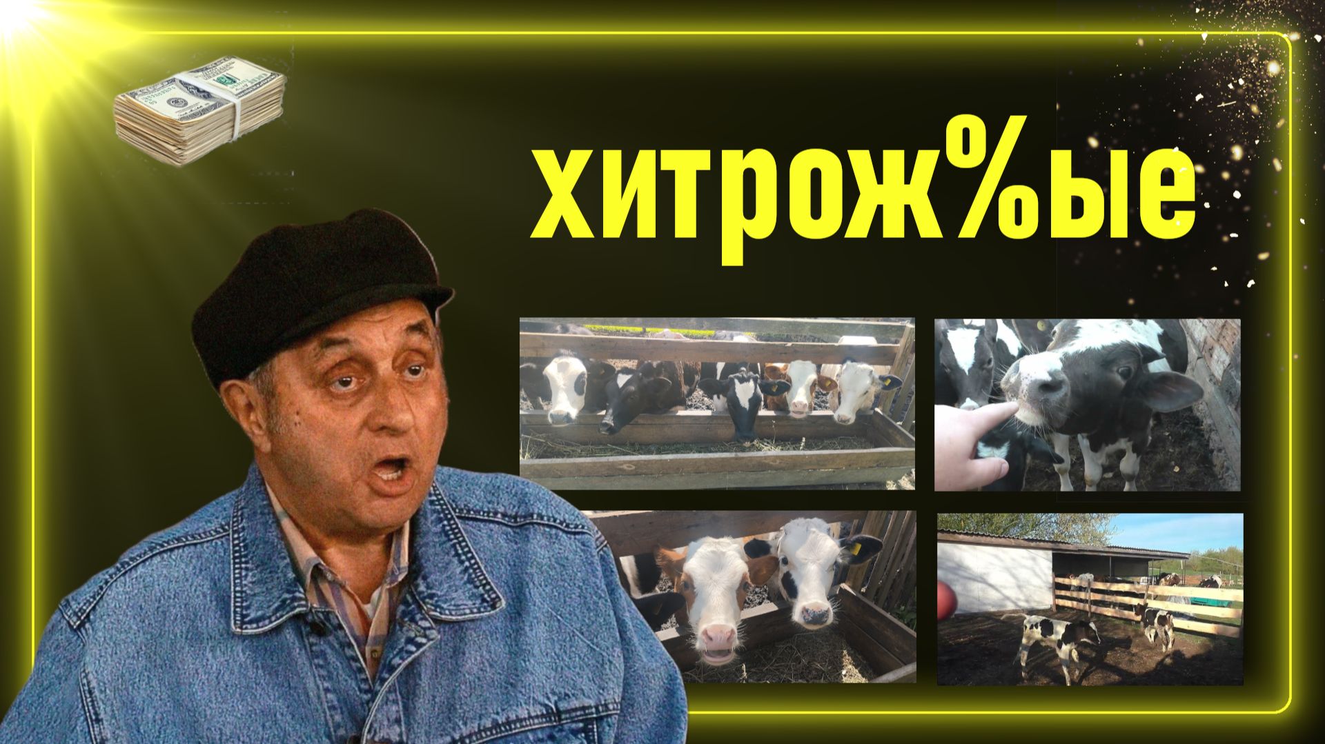 Как купить бычка или хитрые перекупы