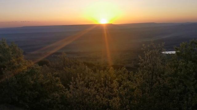VID_20240423_052043