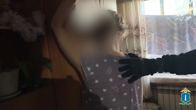 В Ульяновской области полицейские задержали подозреваемую в публичном оправдании терроризма