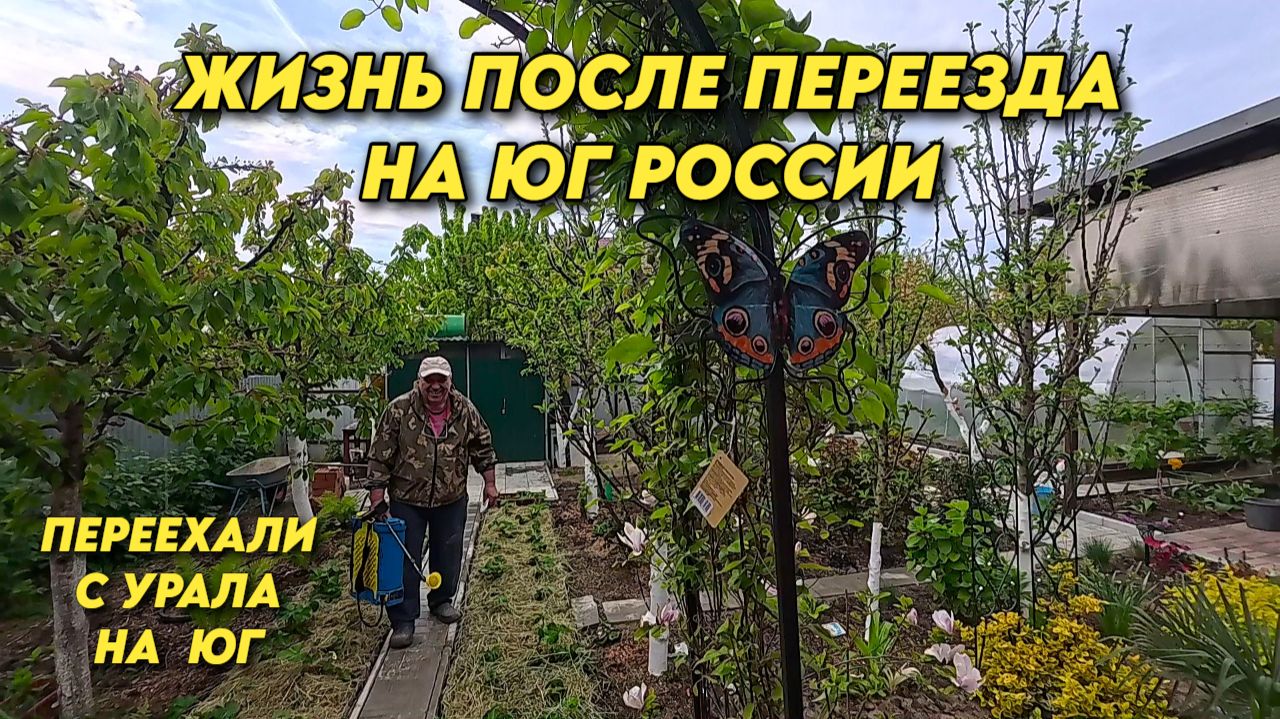 1137 Обработка сада от болезней/Изготовление шпалер для винограда/Жизнь семьи на юге