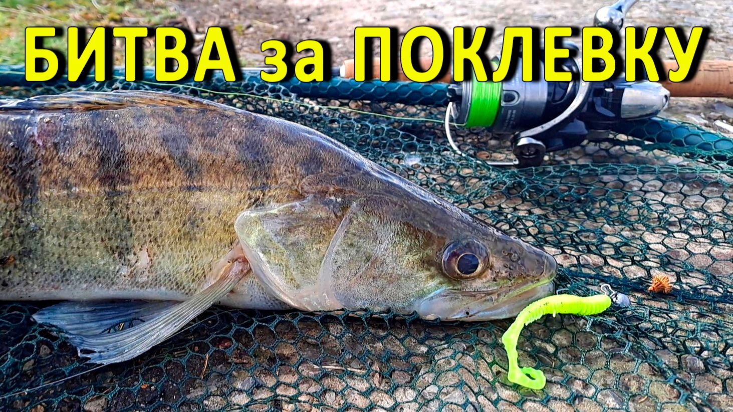 🔥 КАПРИЗНЫЙ весенний СУДАК. Поймай, если сможешь! 🔥