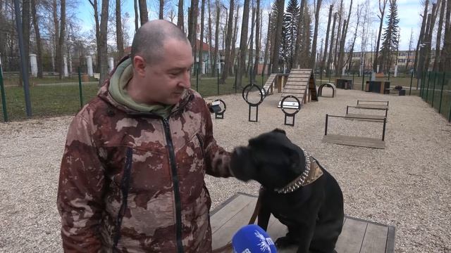 Апельсин. День собачьего счастья. 04-05-2026