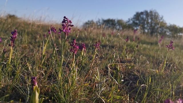 VID_20240423_062355