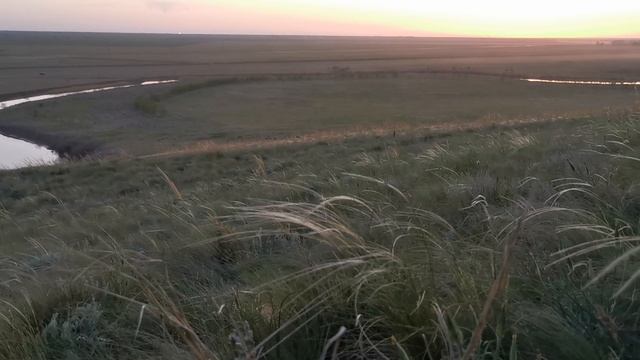 VID_20240423_191527
