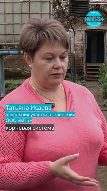 Нижнекамские цветоводы готовят город к летнему сезону