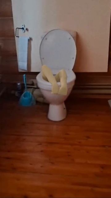 Туалетный монстр