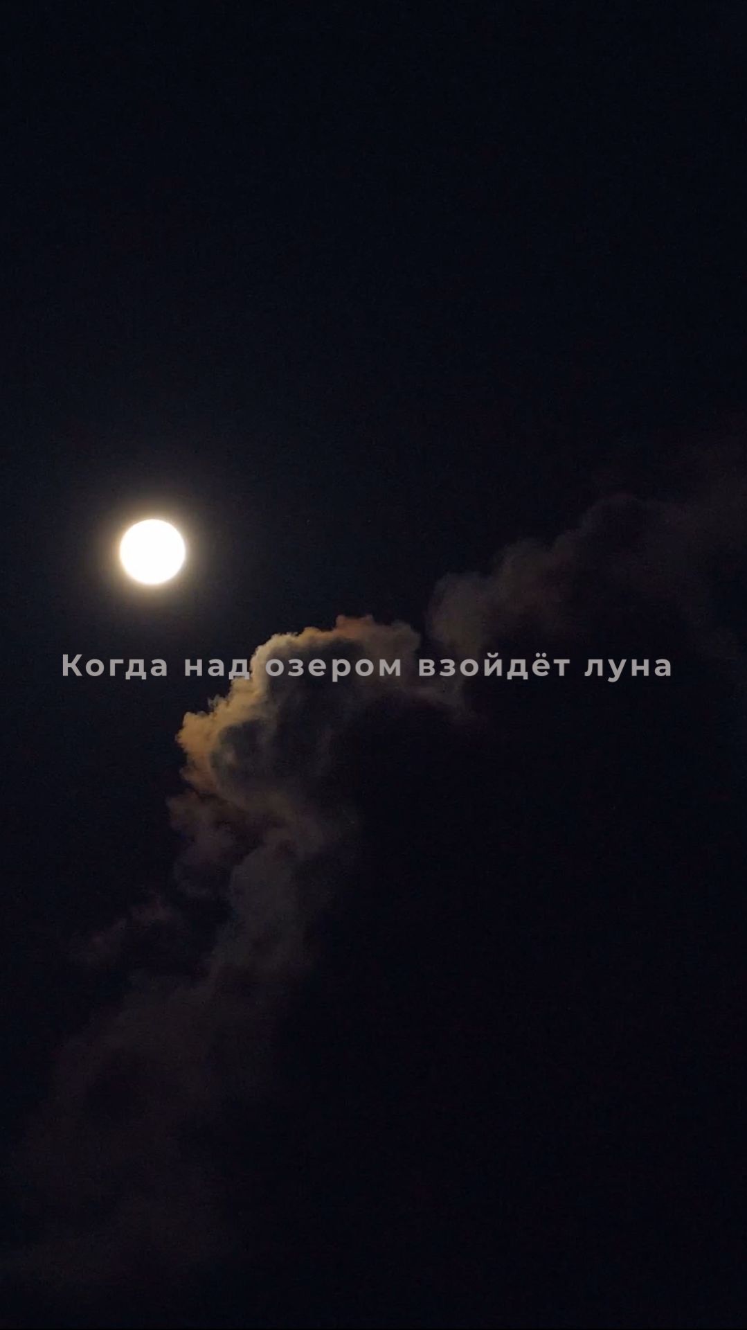 Буктрейлер "Немного чудовище, немного человек", Крытя