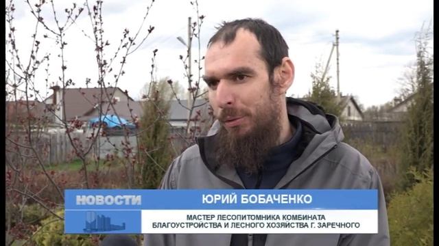 Зареченцы посетили с экскурсией лесопитомник КБУ