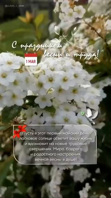 Мир, Труд, Май