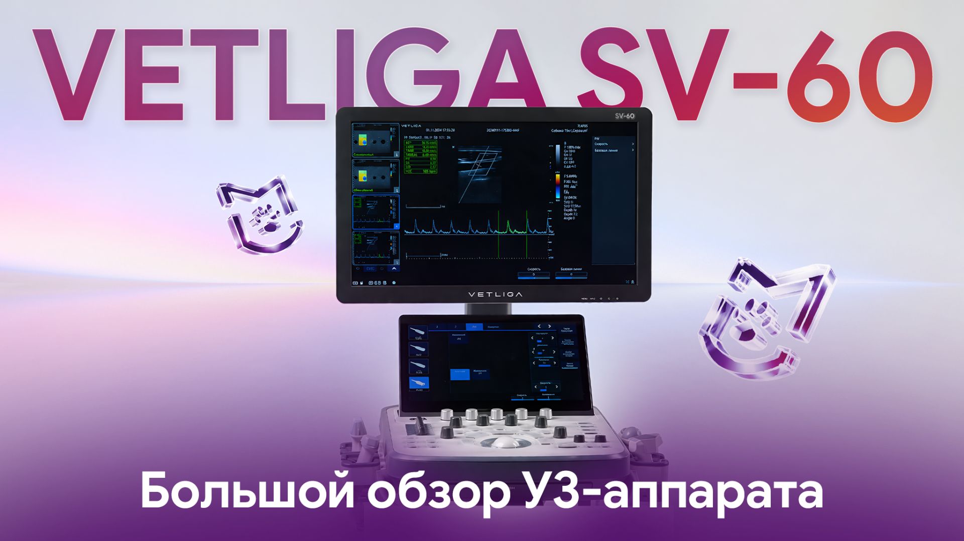 Клинический обзор VETLIGA SV-60: что может современный ветеринарный УЗИ аппарат?