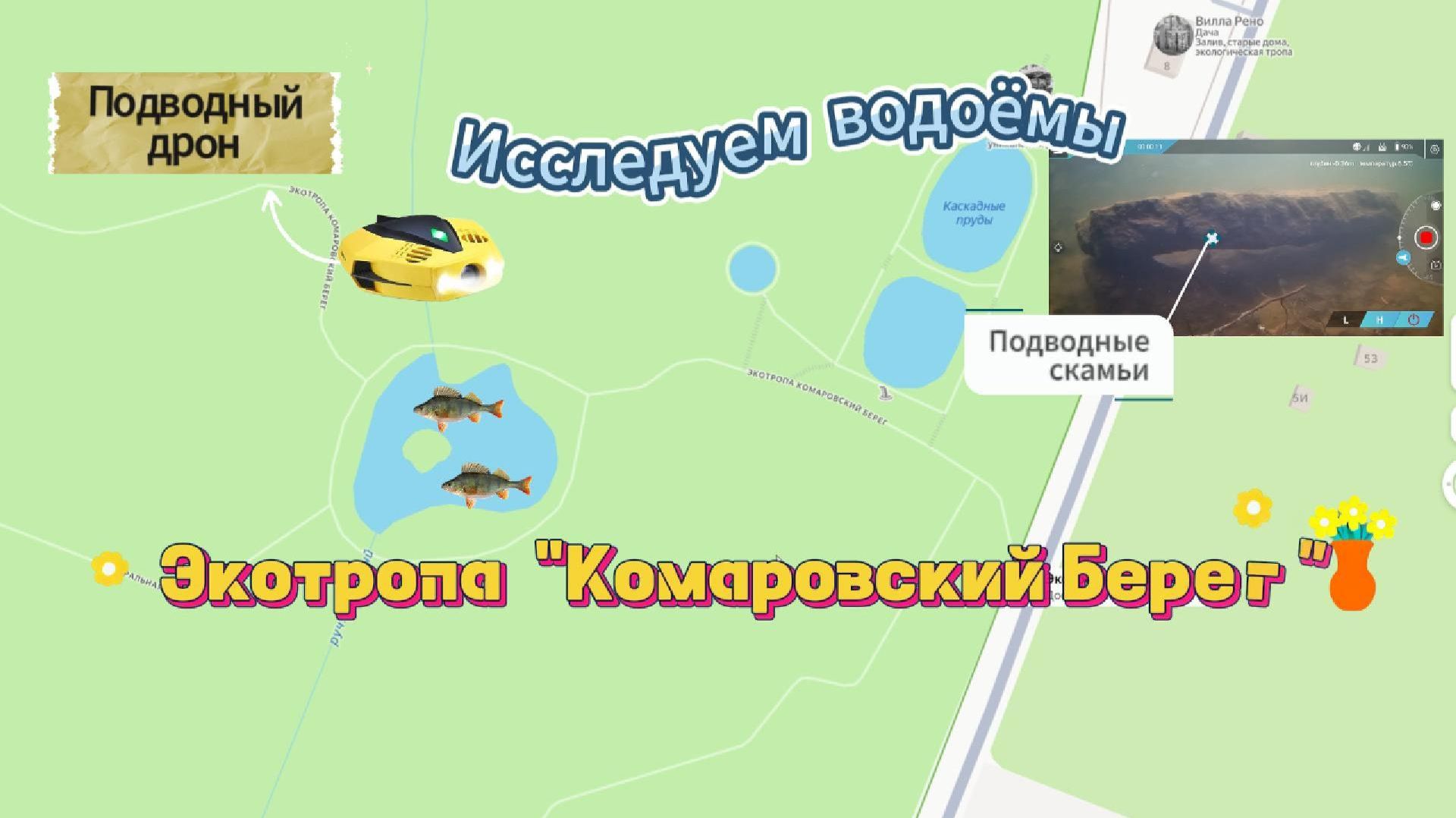 Что скрывают пруды экотропы "Комаровский берег" Реальное погружение в мир ООПТ