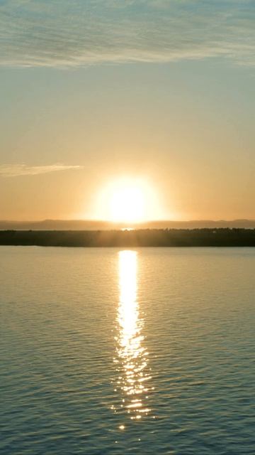 Восстановление нервов 🌸 Пальмы на ветру 🌙 Солнце над водой 🌅