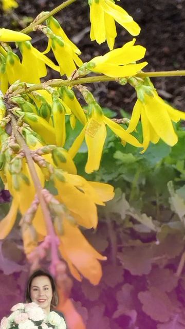 Мир, труд, май!
с Праздником весны 💐 
#весна #май