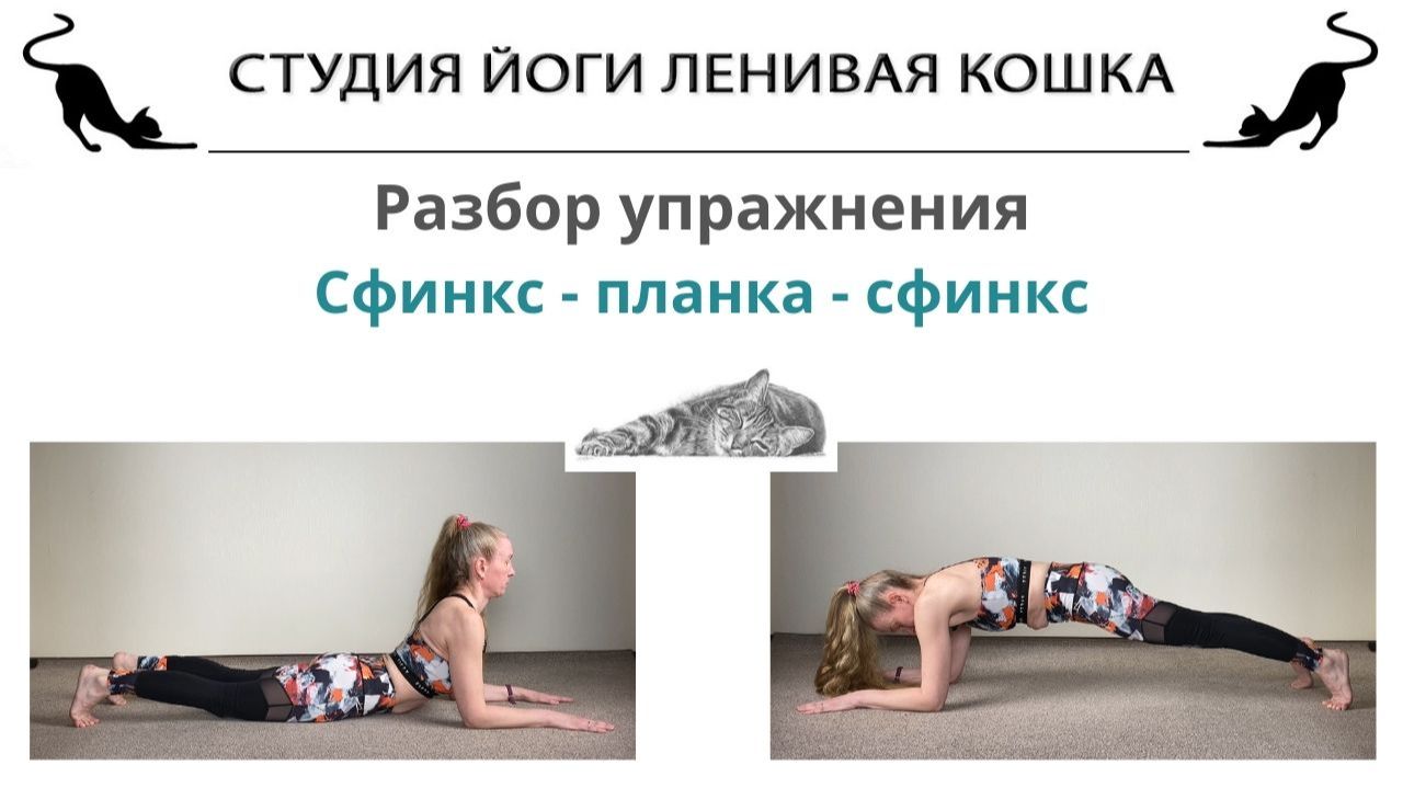 РАЗБОР УПРАЖНЕНИЯ. СФИНКС и ПЛАНКА