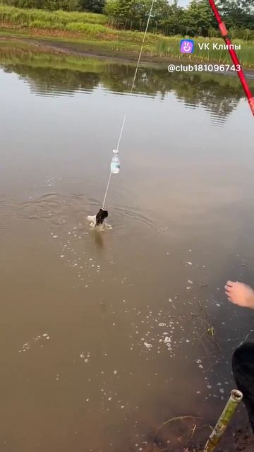 vkclips_20260430111424