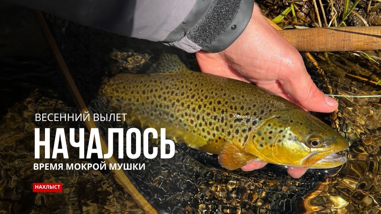 Удивительная Техника Ловли Нахлыстом, Перед Которой Меркнет Спиннинг - Мокрая Мушка #нахлыст