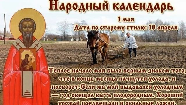 1 мая Народные приметы. пора сеять морковь и свеклу