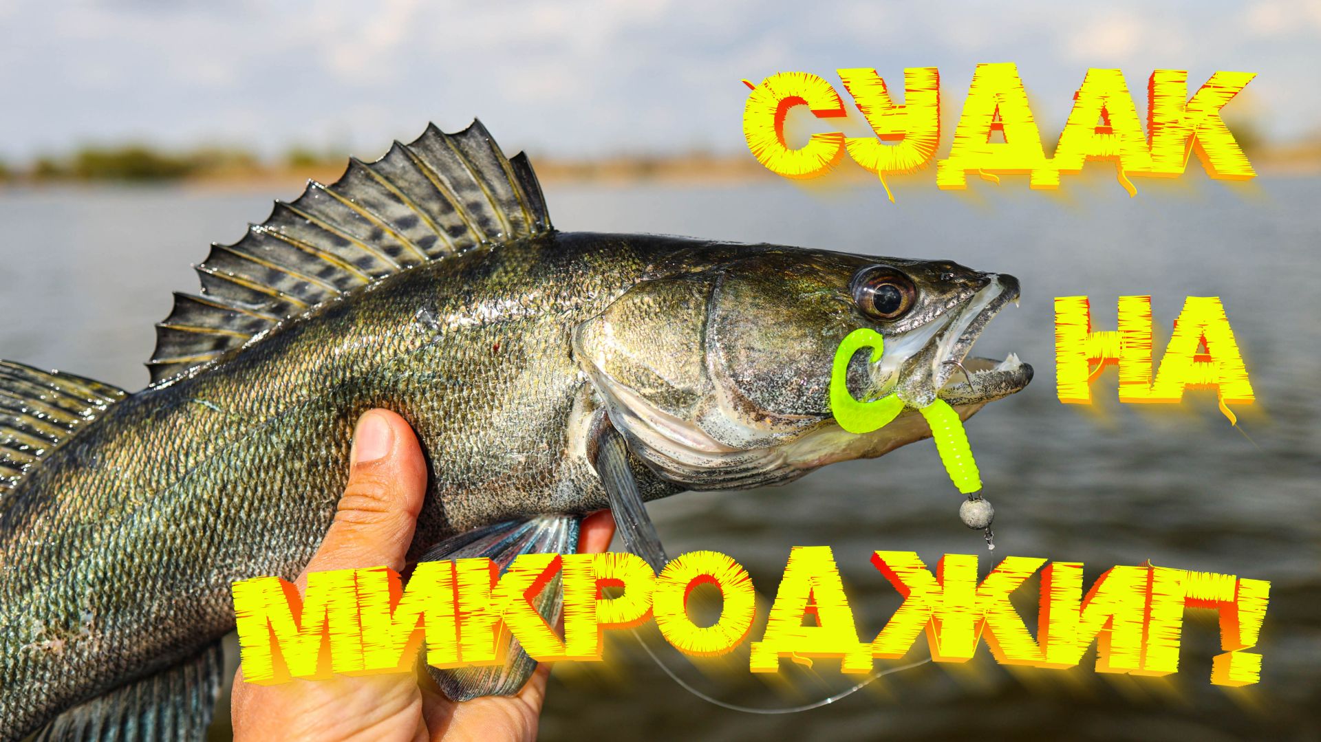 Судак на МИКРОДЖИГ 💪 Открыл водно-вёсельный сезон 👍👍👍