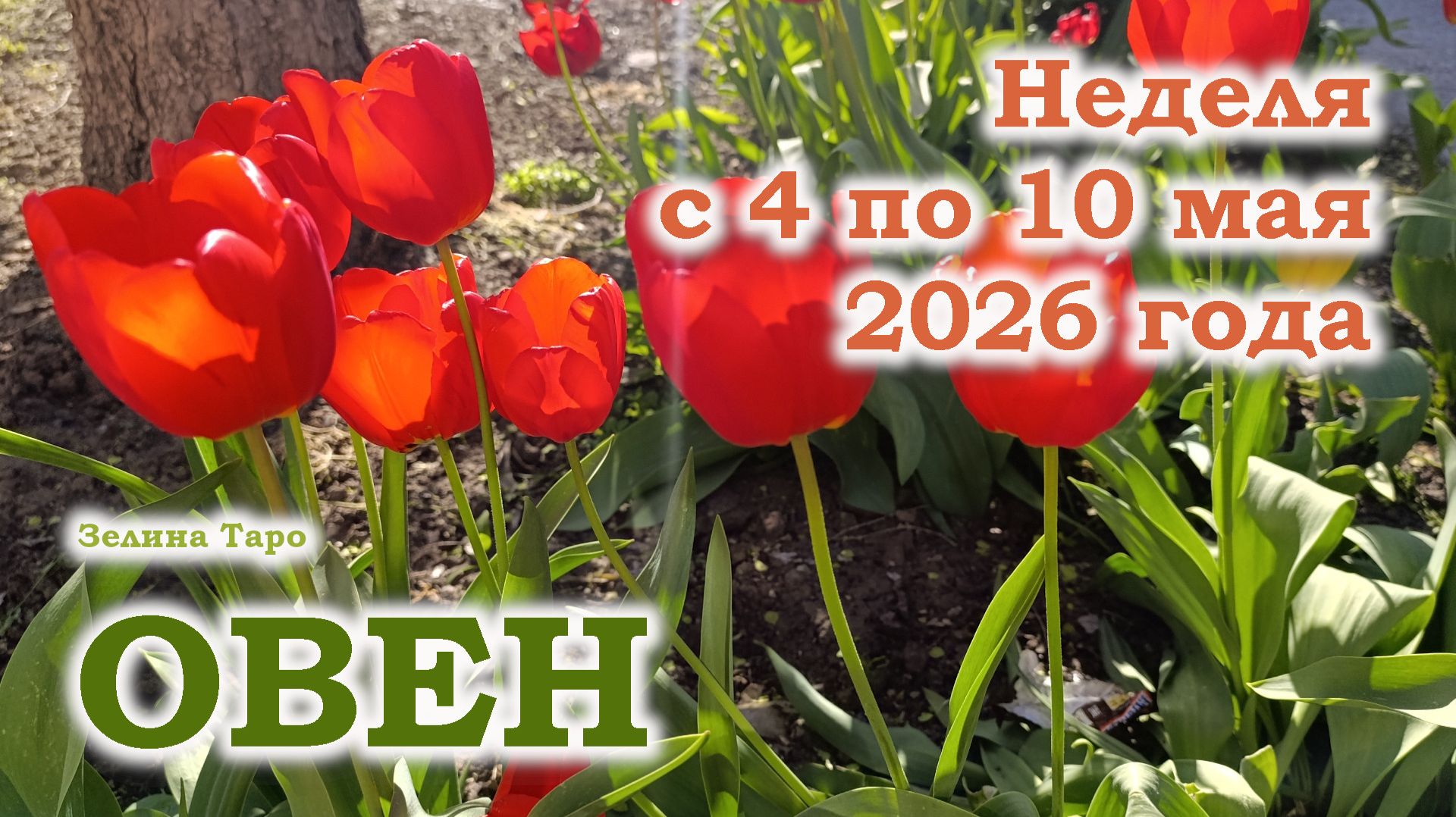 ОВЕН | ТАРО прогноз на неделю с 4 по 10 мая 2026 года