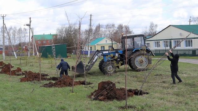 Санитарная очистка и озеленение