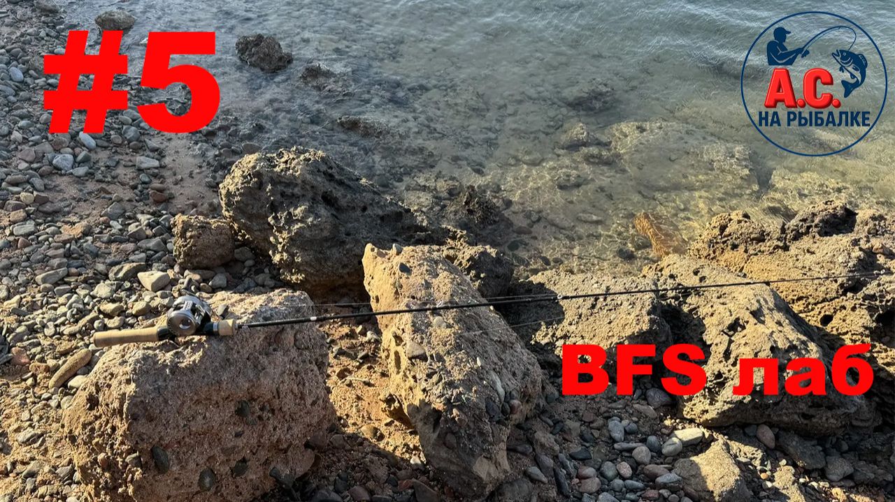 BFS ЛАБ #5 Боевое испытание в Египте Shimano Trout one NS b48ul-G4