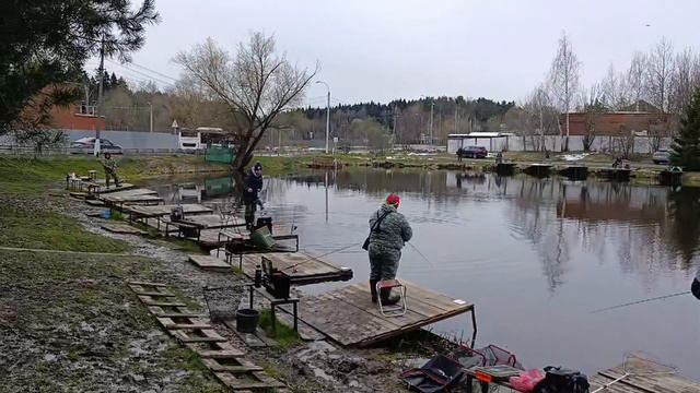 Светлые Горы Форель5 01.05.2026г.