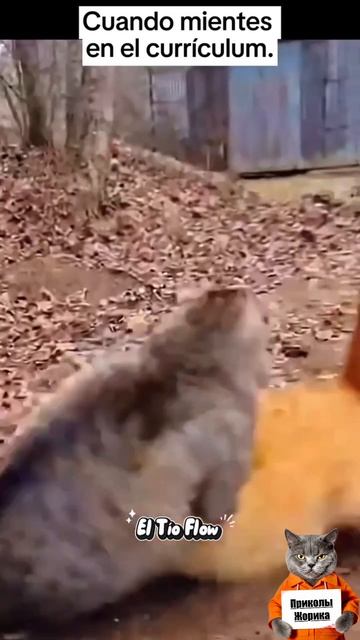 Как не нужно забивать гвозди