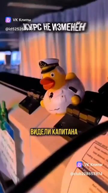vkclips_20260430112620