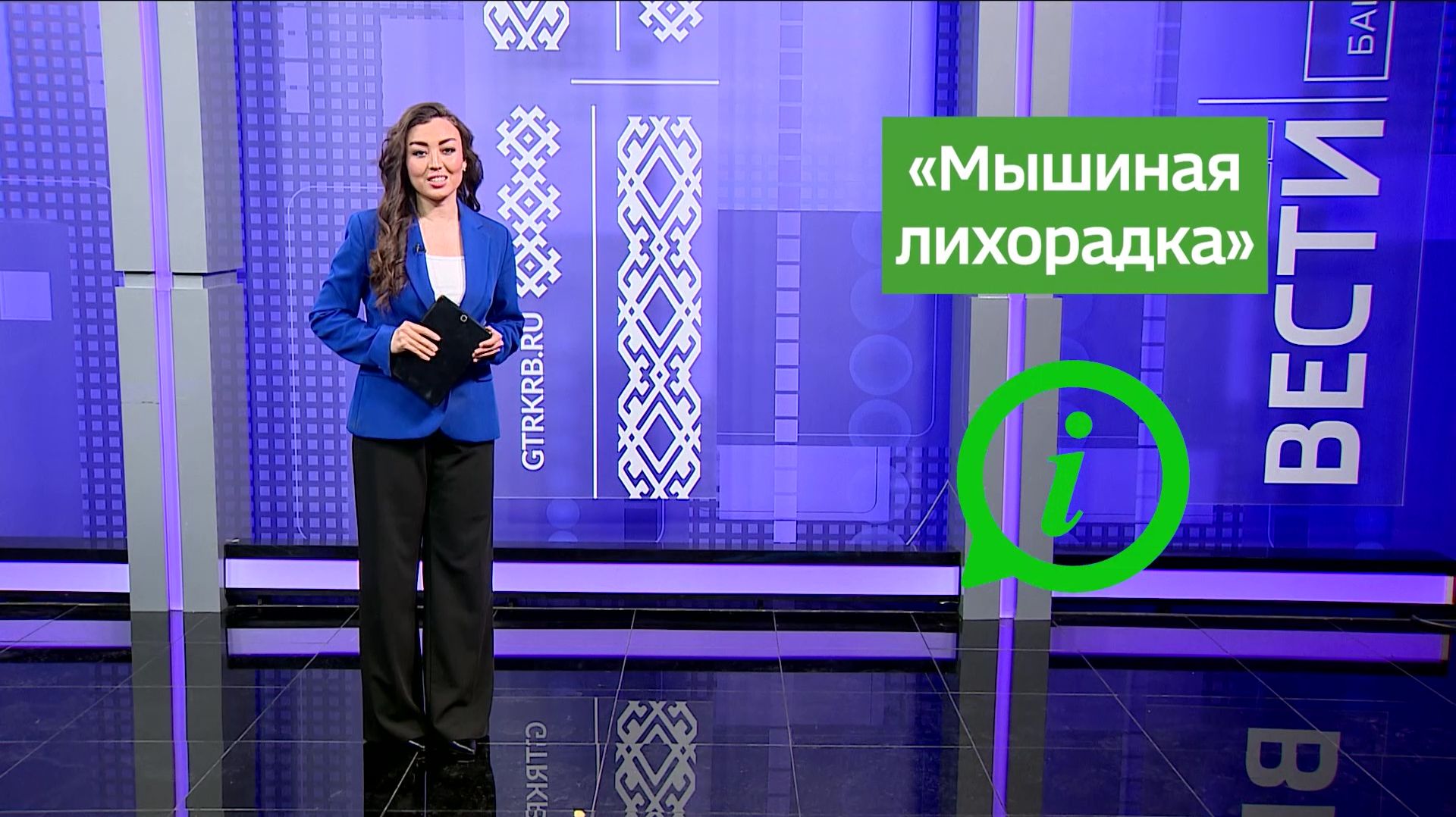 Инструкция - Мышиная лихорадка