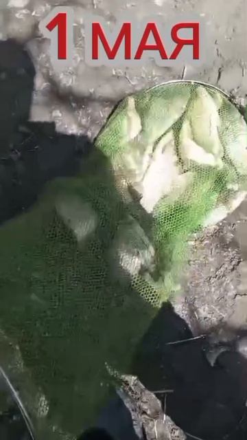 Рыбалка 1 мая.