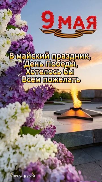 #shorts С Днём Великой Победы! 🎖️ #9мая #деньпобеды