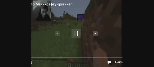 Мем спидран по Майнкрафту, но каждое слово это картинка из Гугла