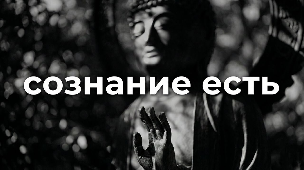 Прямой указатель на твою Пробужденную Природу